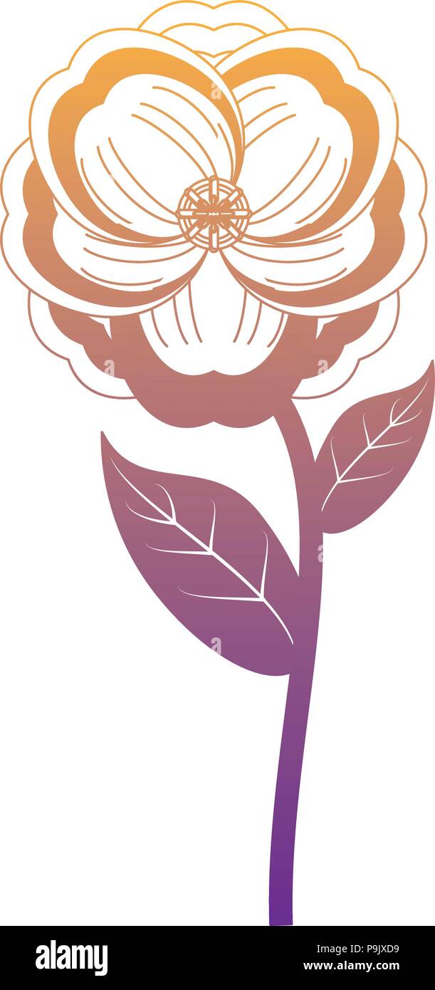 beautiful flower icon over white background, vector illustration Stock ...