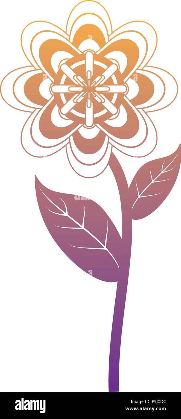 beautiful flower icon over white background, vector illustration Stock ...