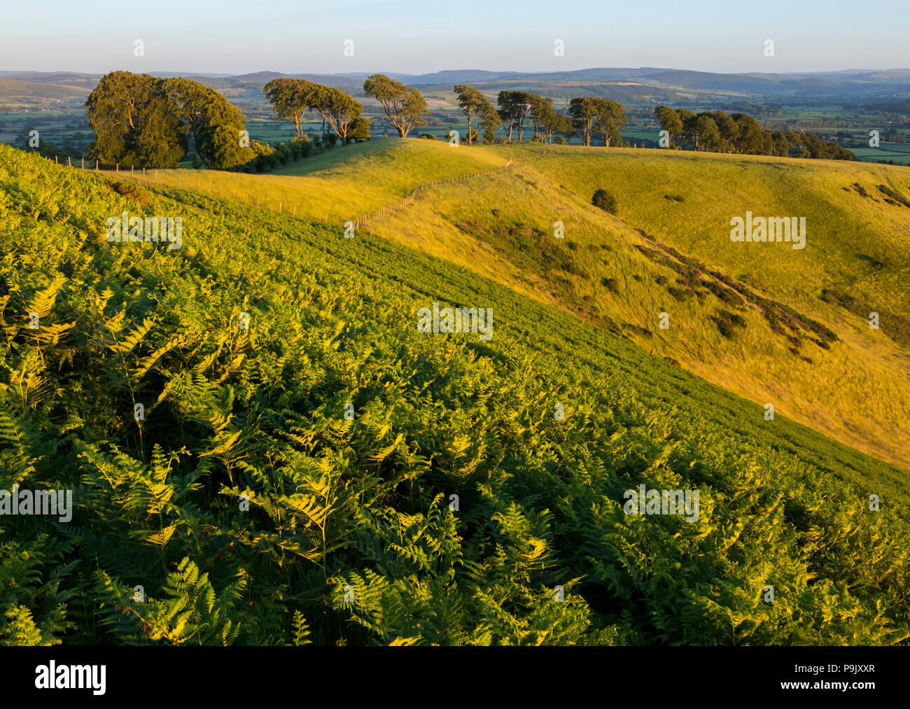 Linley shropshire hi-res stock photography and images - Alamy