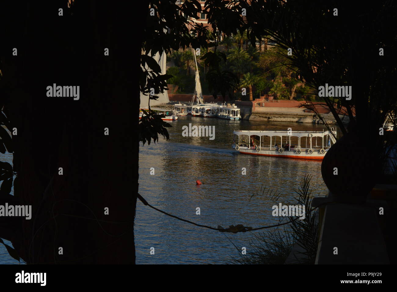 photo for Aswan city in Egypt Stock Photo - Alamy