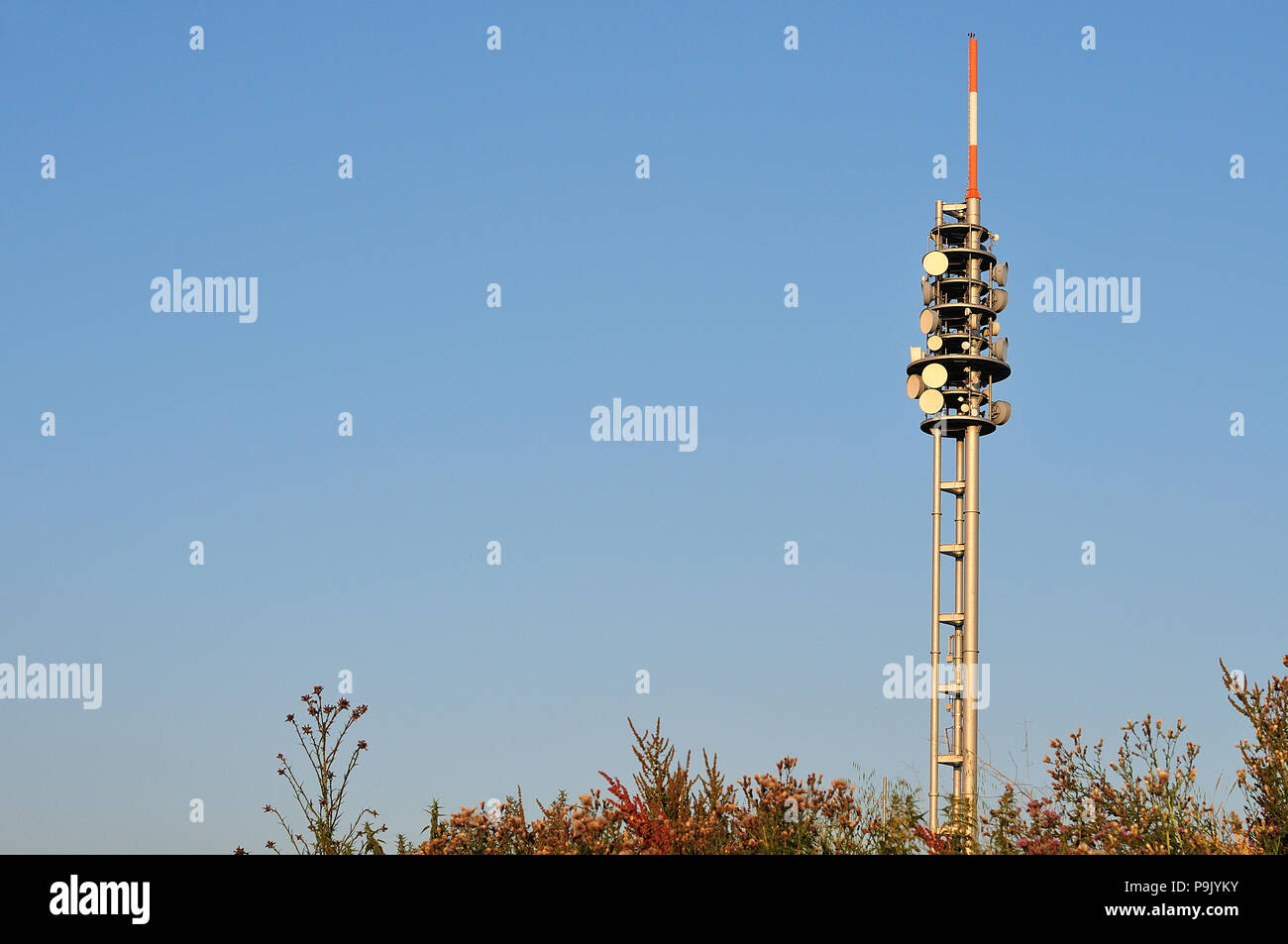 steel tower, transmission hub for telecommunication with parabolic ...