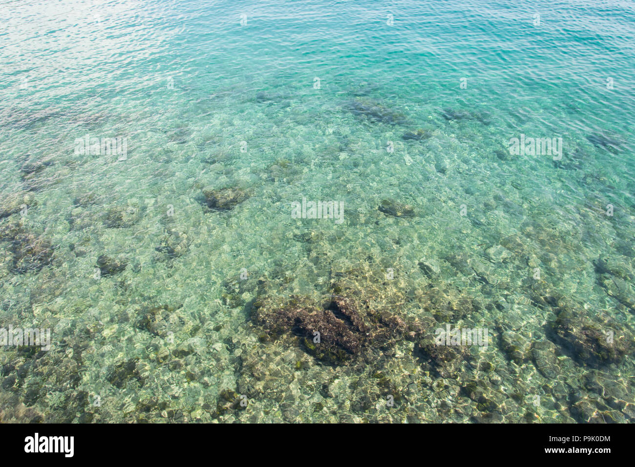 The water bottom hi-res stock photography and images - Alamy