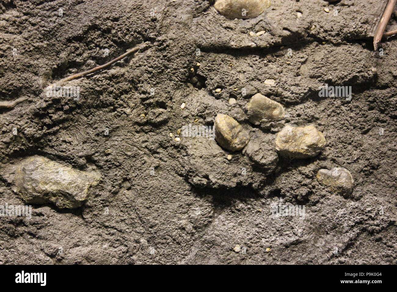 Cross section of the natural environment ground and dirt at the ...