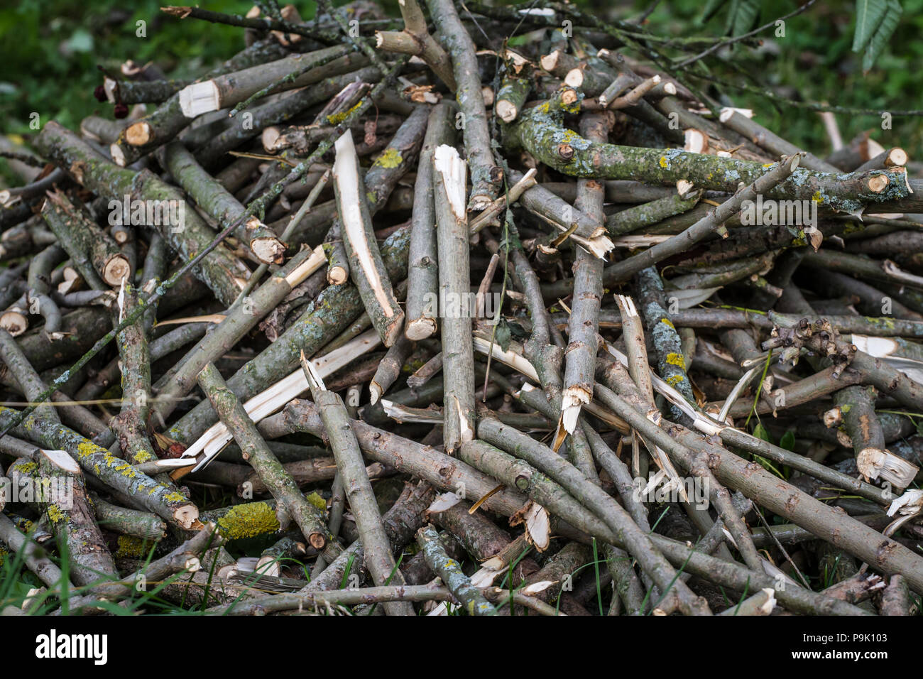 Country wood pile hi-res stock photography and images - Alamy