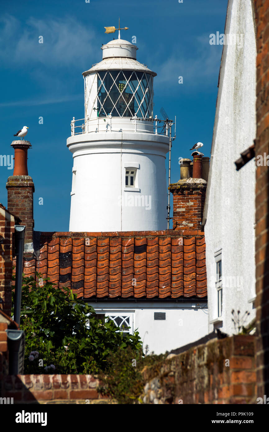Southwold lighthouse and seabirds at English seaside resort Stock Photo ...