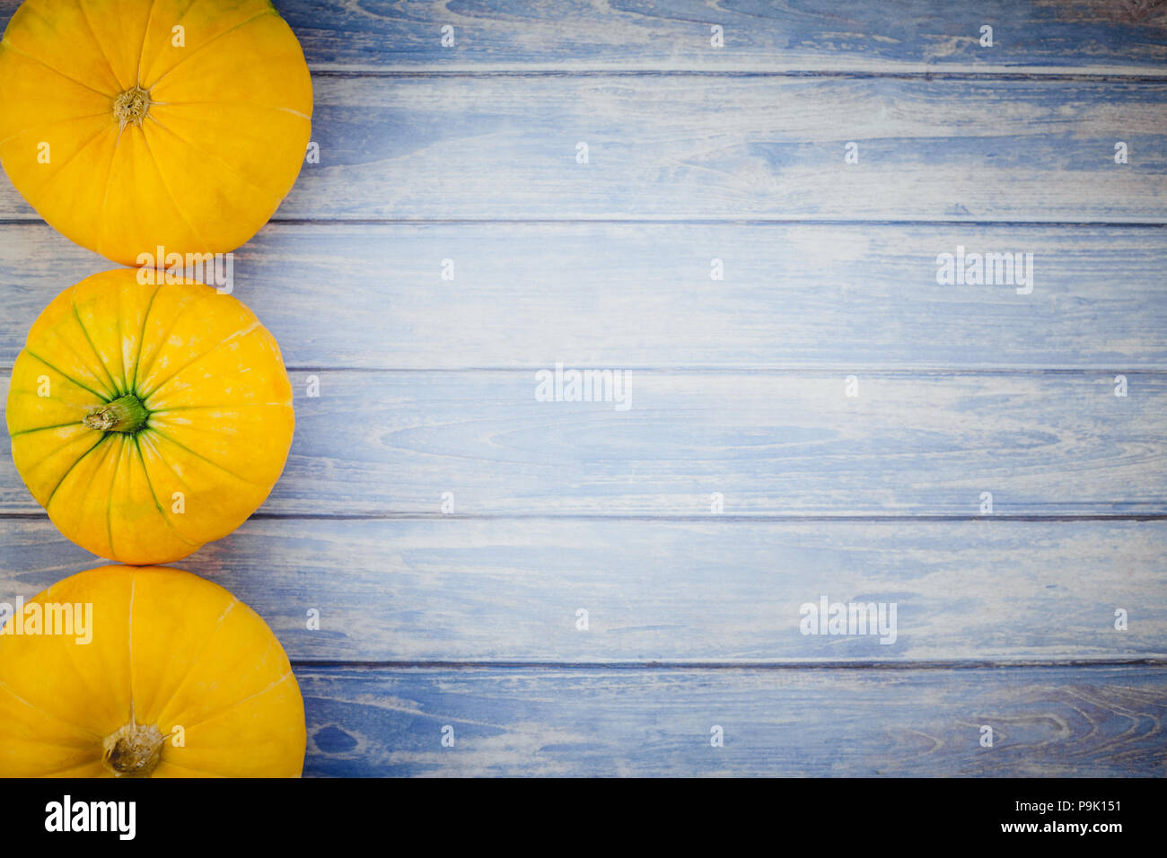 Top view of autumn orange pumpkins thanksgiving background over blue ...
