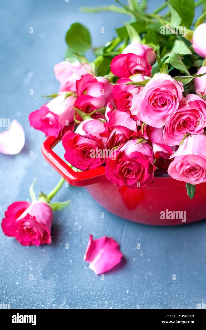 A bouquet of fresh pink roses, in a pan of red cast iron, on a gray ...