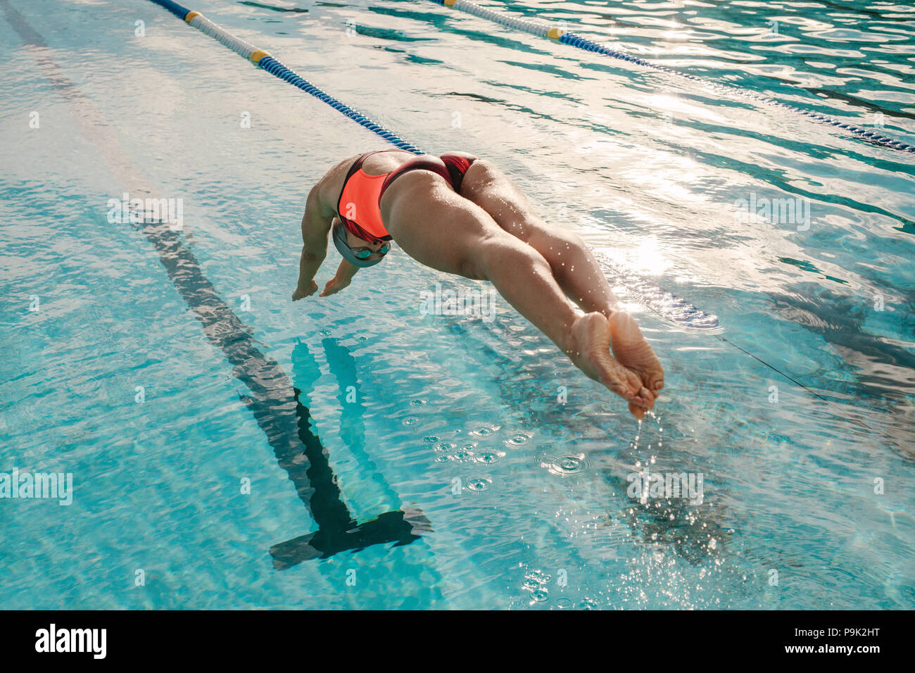 Female swimmer diving into indoor sports swimming pool. Sporty woman ...