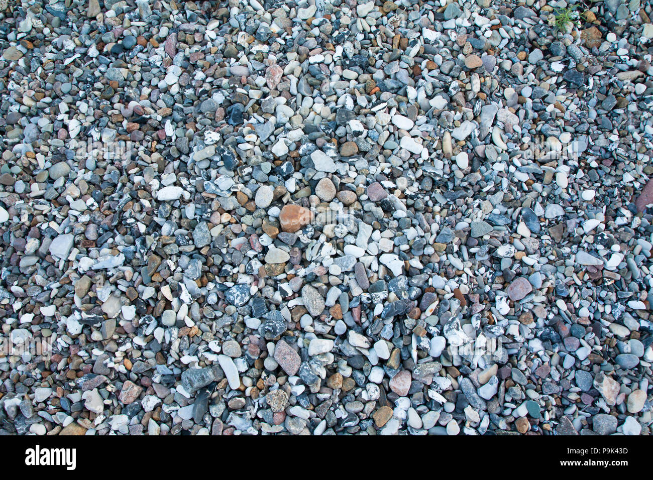 Various colorful small pebble beach texture, background Stock Photo - Alamy