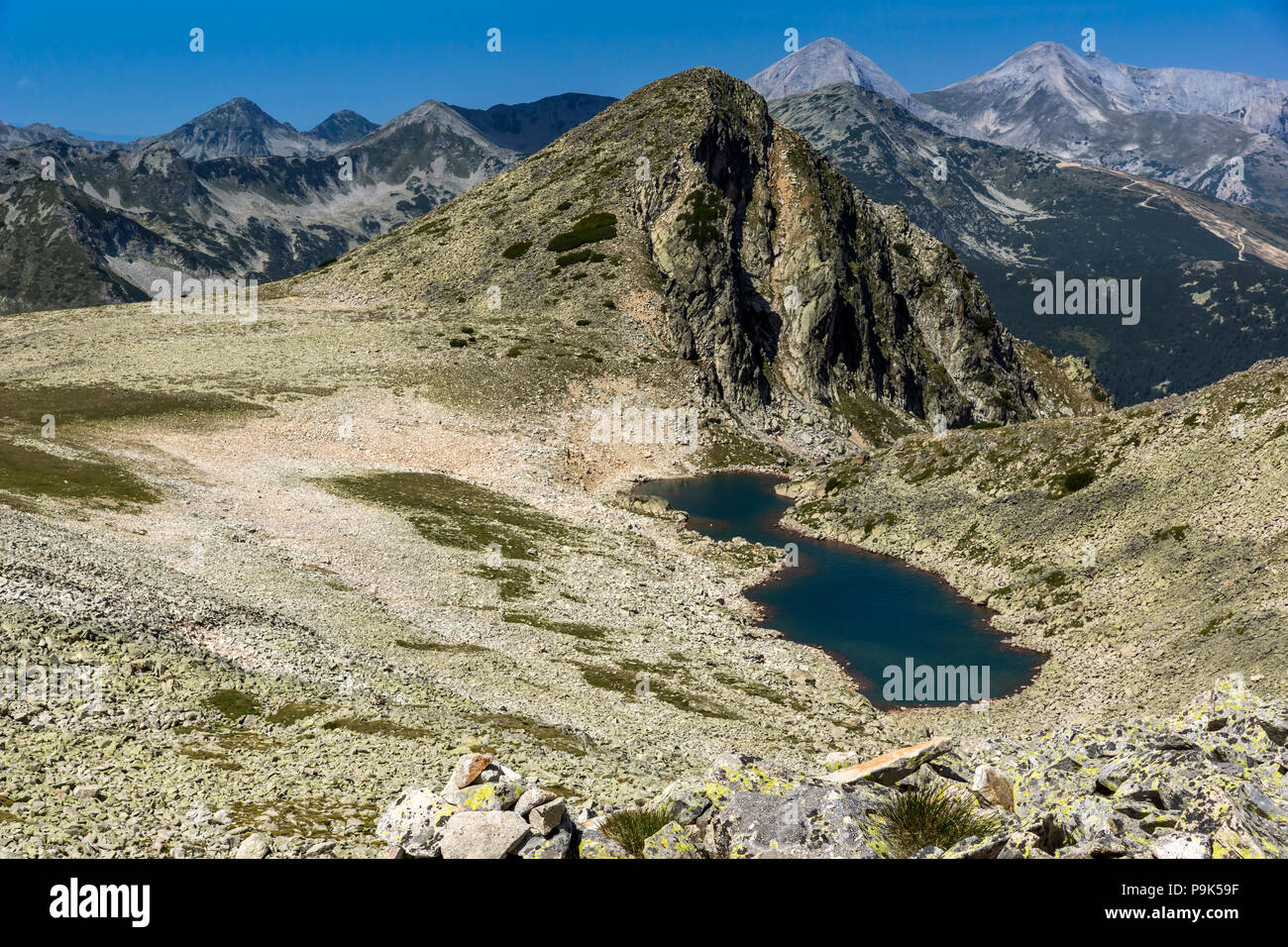 Gazey High Resolution Stock Photography and Images - Alamy