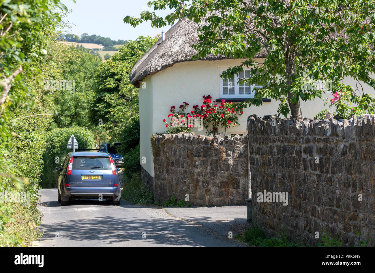 Small car driving along a narrow country lane near Drewsteighton ...