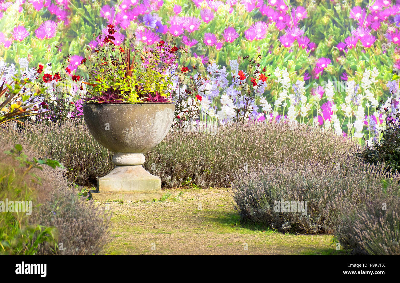 Lavender Garden High Resolution Stock Photography and Images - Alamy