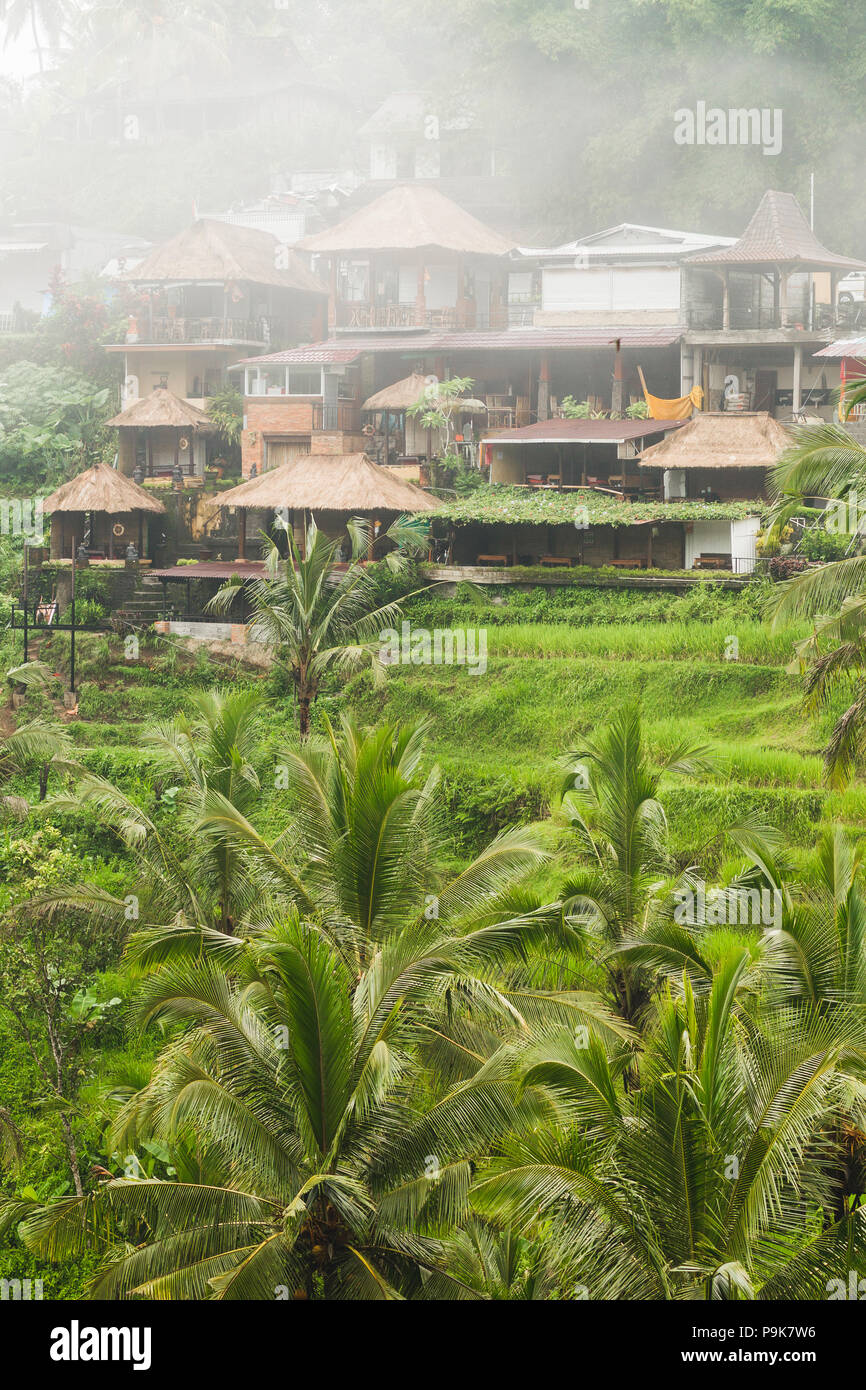 Tegalalang Ceking rice terraces in Ubud, Bali Stock Photo - Alamy
