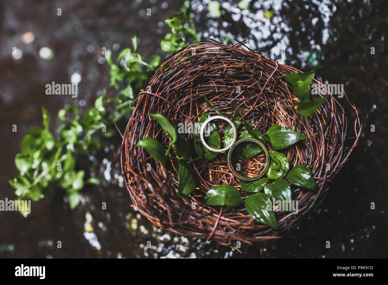 Two wedding rings in handmade wicker nest on wedding ceremony Stock ...