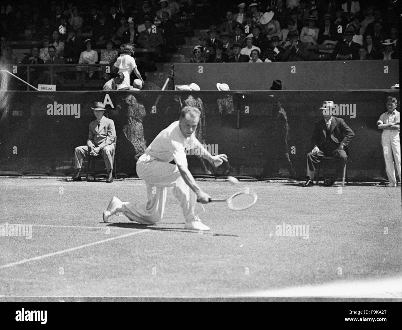 Athletic white do Black and White Stock Photos & Images - Alamy