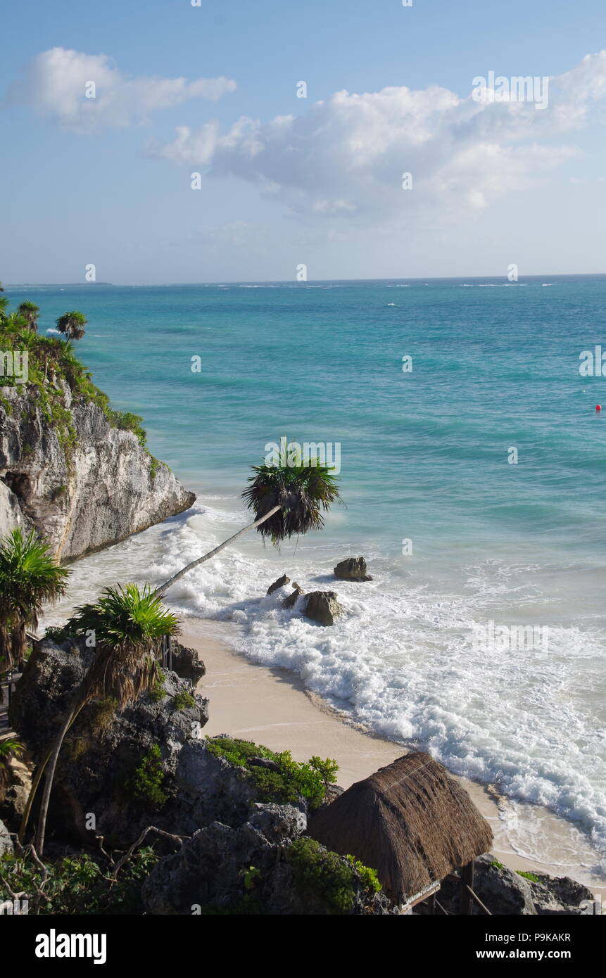 Plants tulum hi-res stock photography and images - Alamy