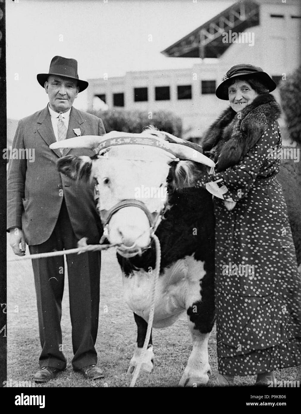 Royal society arts Black and White Stock Photos & Images - Alamy