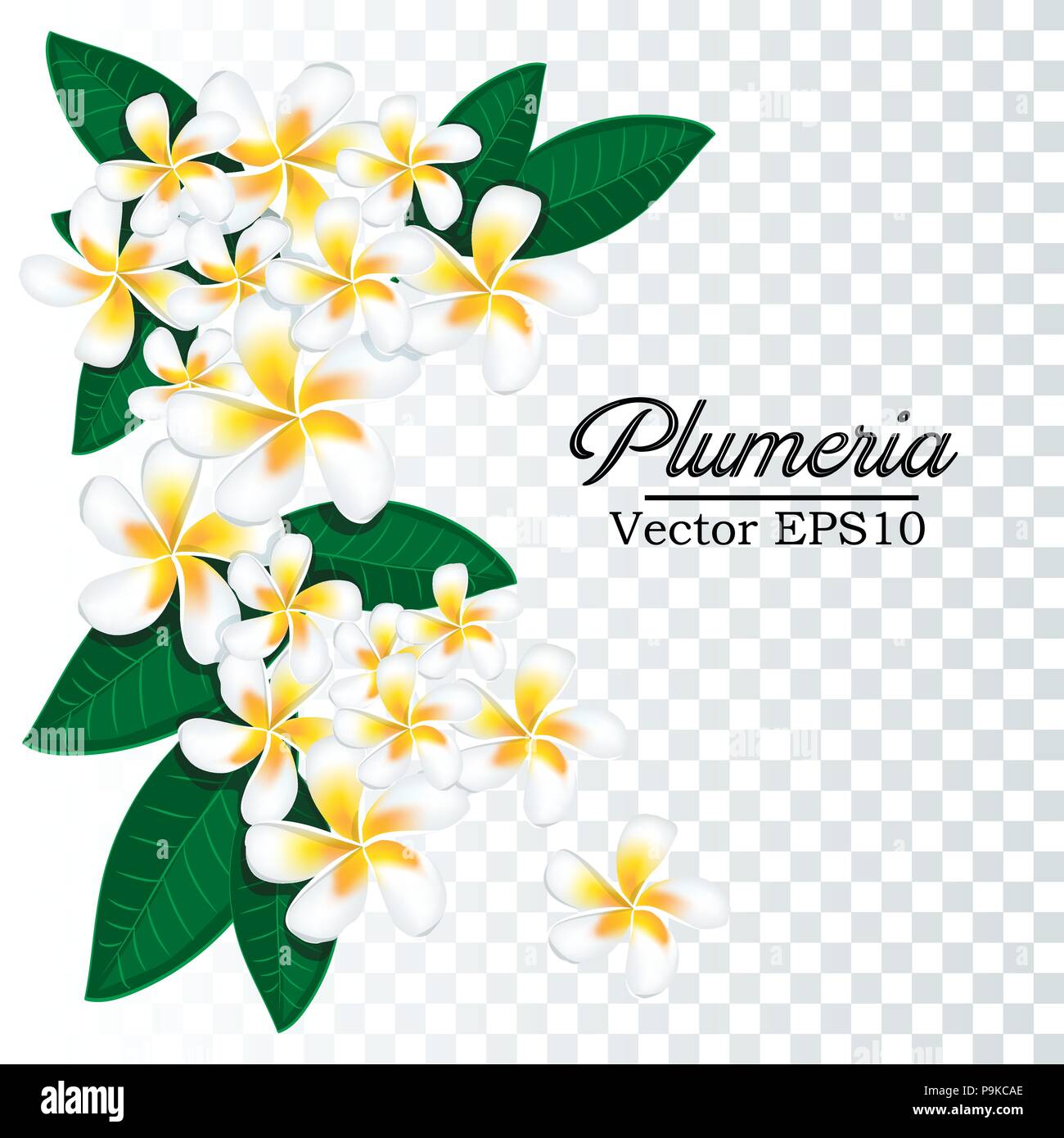Vector floating flower Stock Vector Image & Art - Alamy
