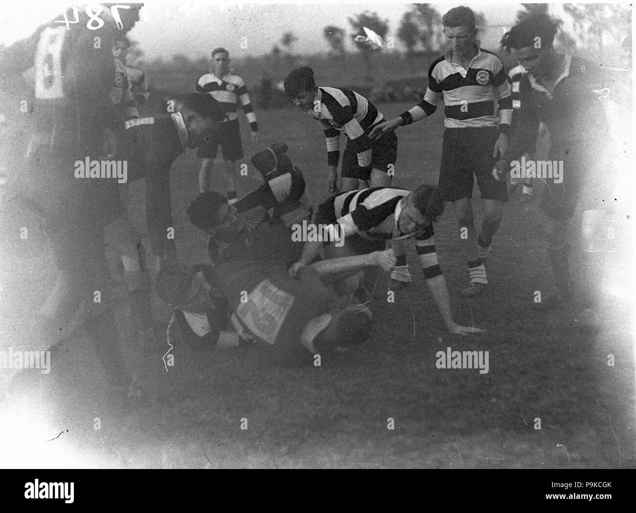 Australian professional rugby league hi-res stock photography and ...