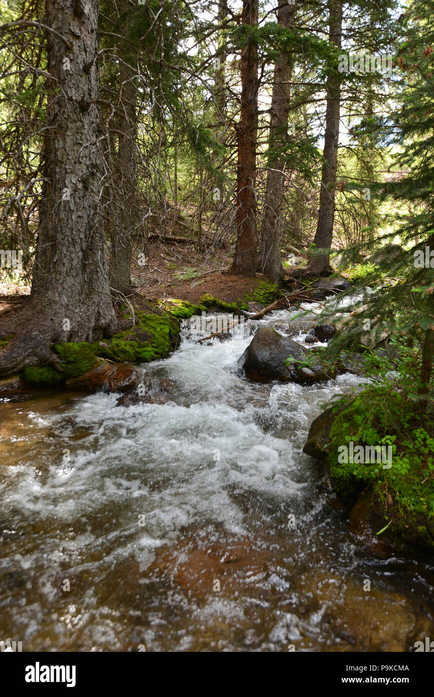 Mountain crystal clear stream in Idaho mountains north of Mackay Idaho ...