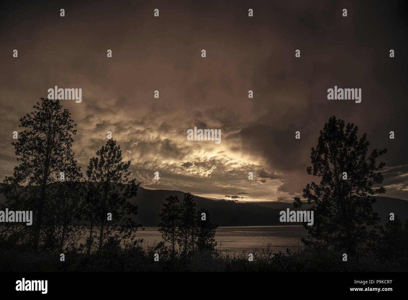 Scenic trees in Lake Country Stock Photo - Alamy
