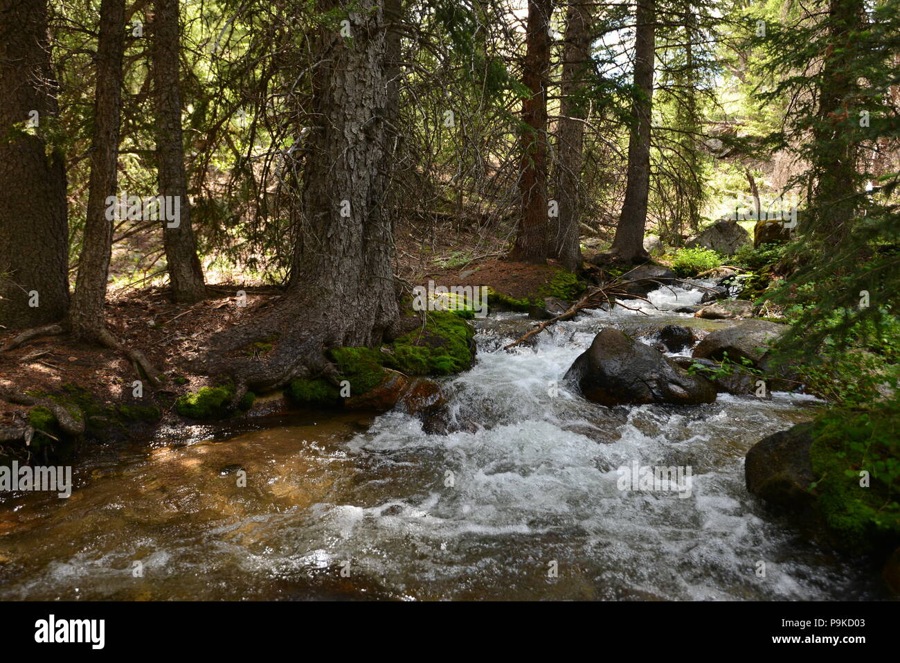 Mountain crystal clear stream in Idaho mountains north of Mackay Idaho ...