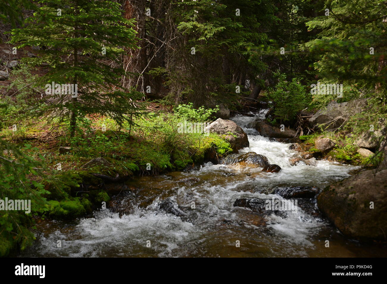 Mountain crystal clear stream in Idaho mountains north of Mackay Idaho ...