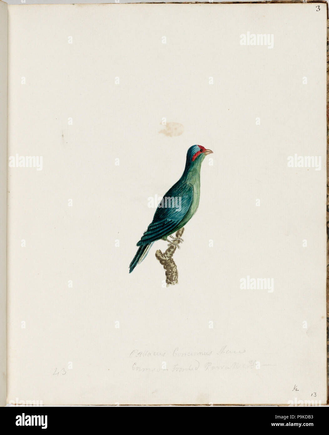 Gorail hi-res stock photography and images - Alamy