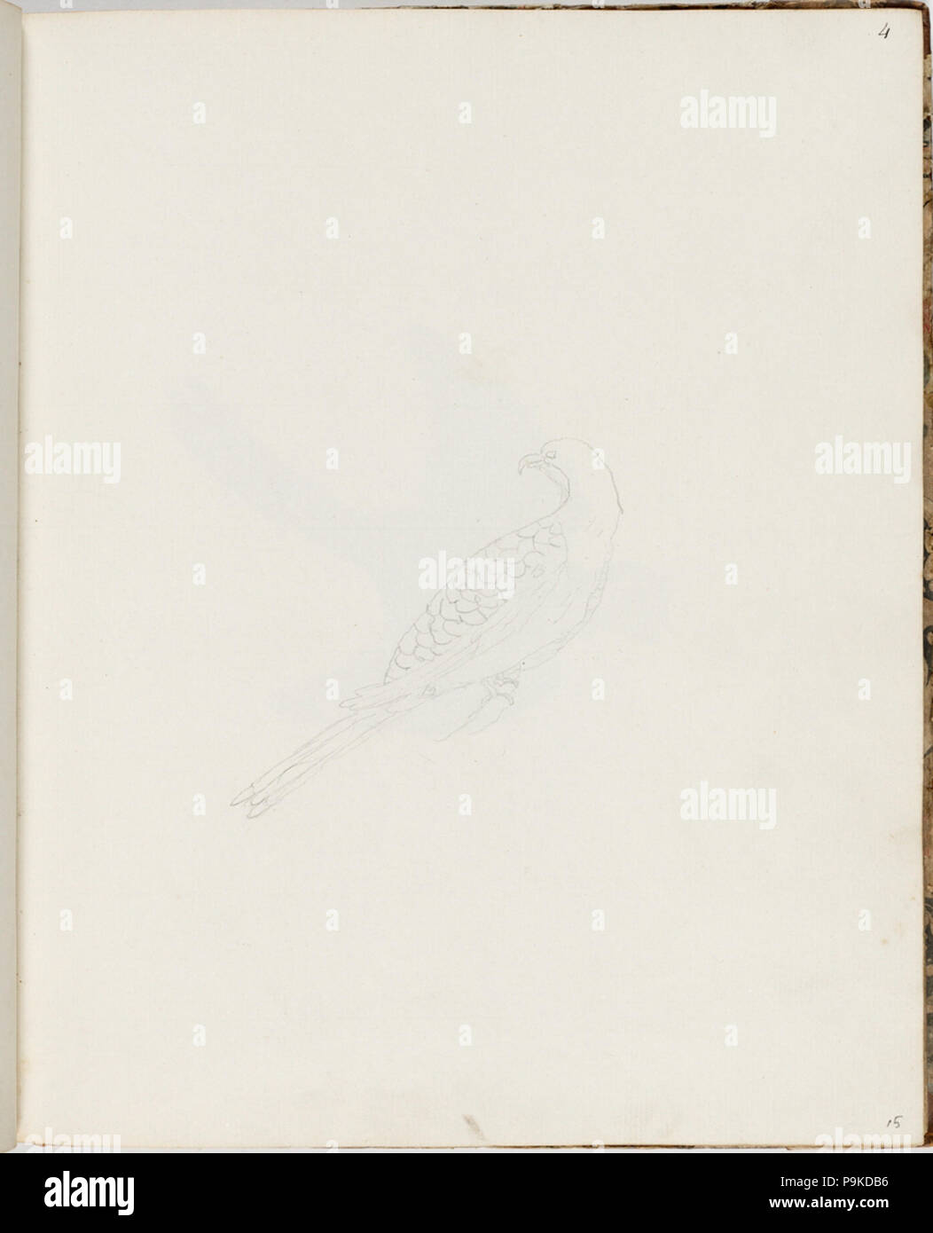 Unfinished sketches hi-res stock photography and images - Alamy