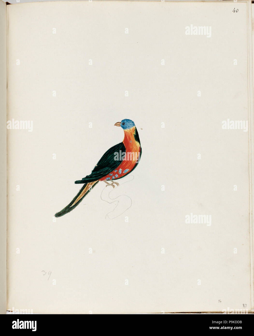 Gorail hi-res stock photography and images - Alamy