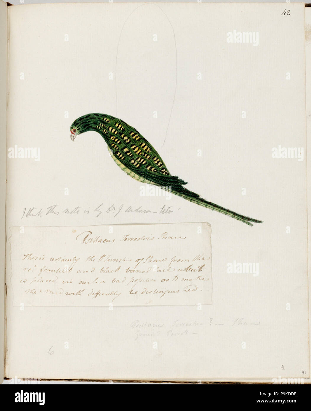 Gorail hi-res stock photography and images - Alamy