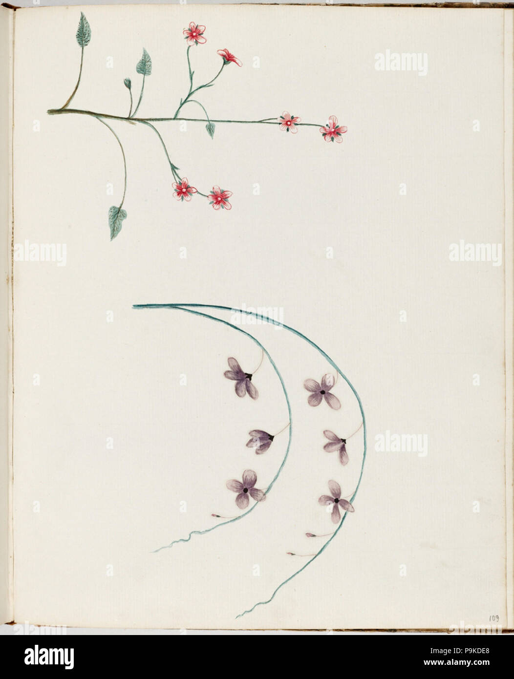 Untitled flower hi-res stock photography and images - Alamy