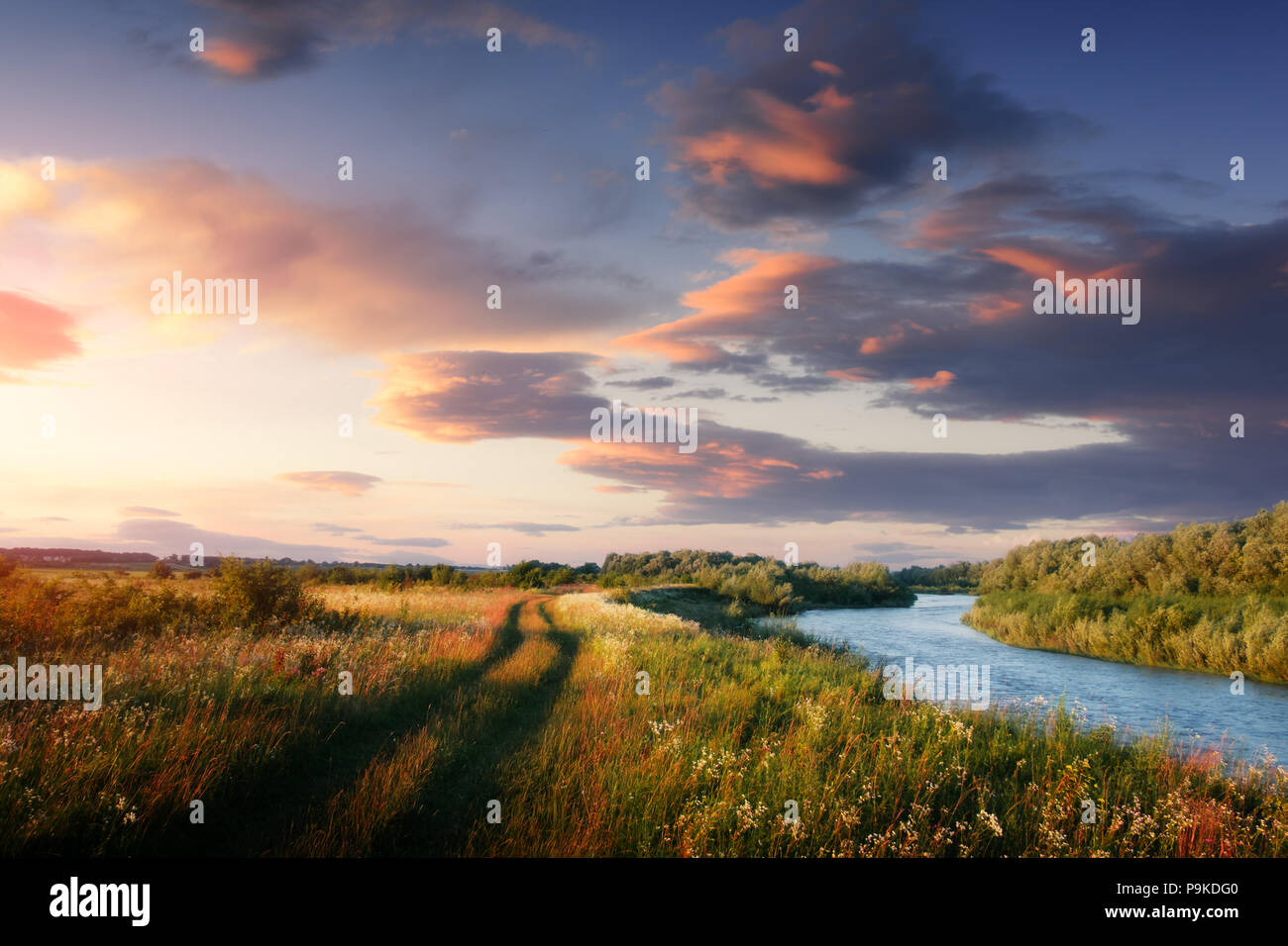 Nature scene river road hi-res stock photography and images - Alamy