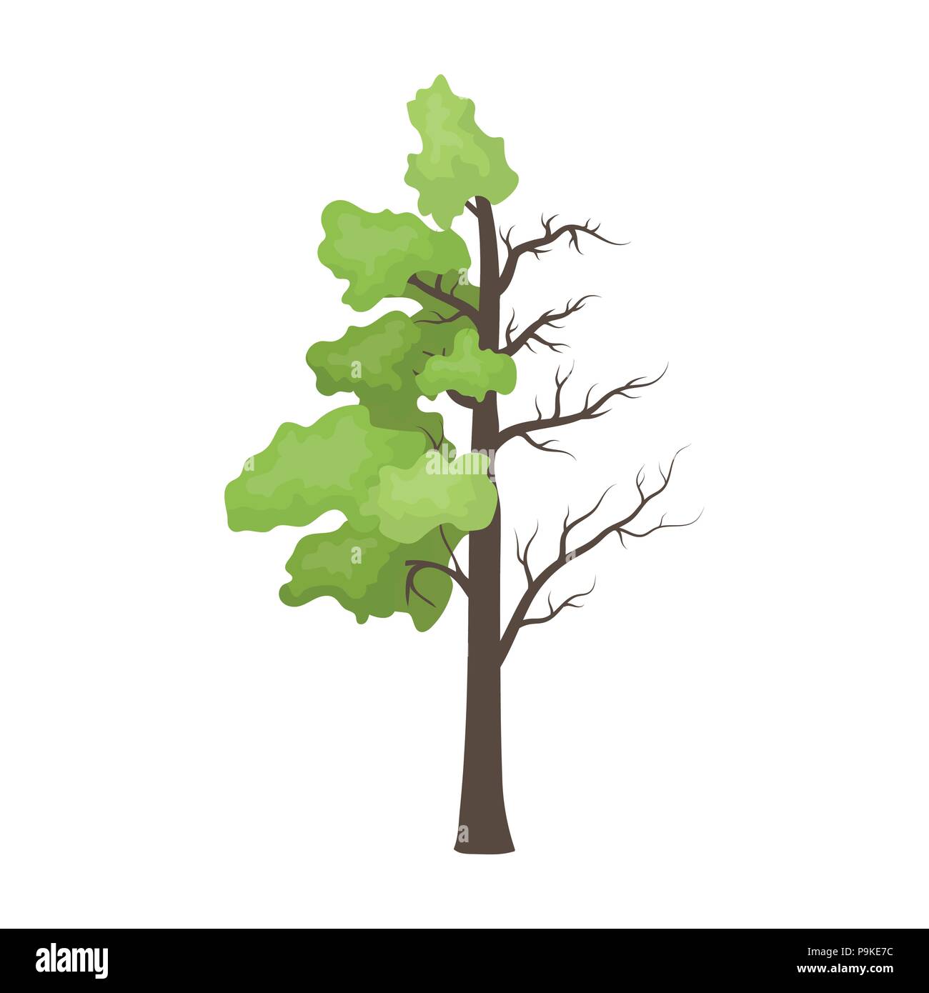 Tree half full of green leaf and half dry icon in cartoon design ...