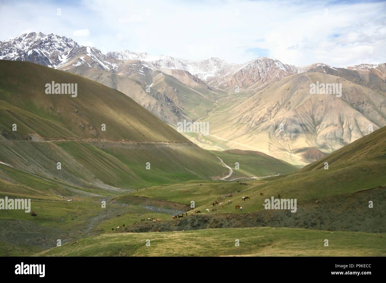 beautiful scenic from Bishkek to Naryn with the Tian Shan mountains of ...