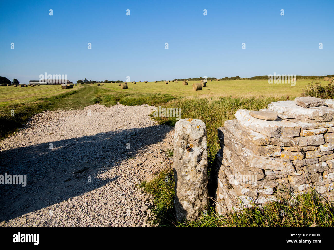 Farming fields near Dancing Ledge, Langston Matravers, Durlston Country ...