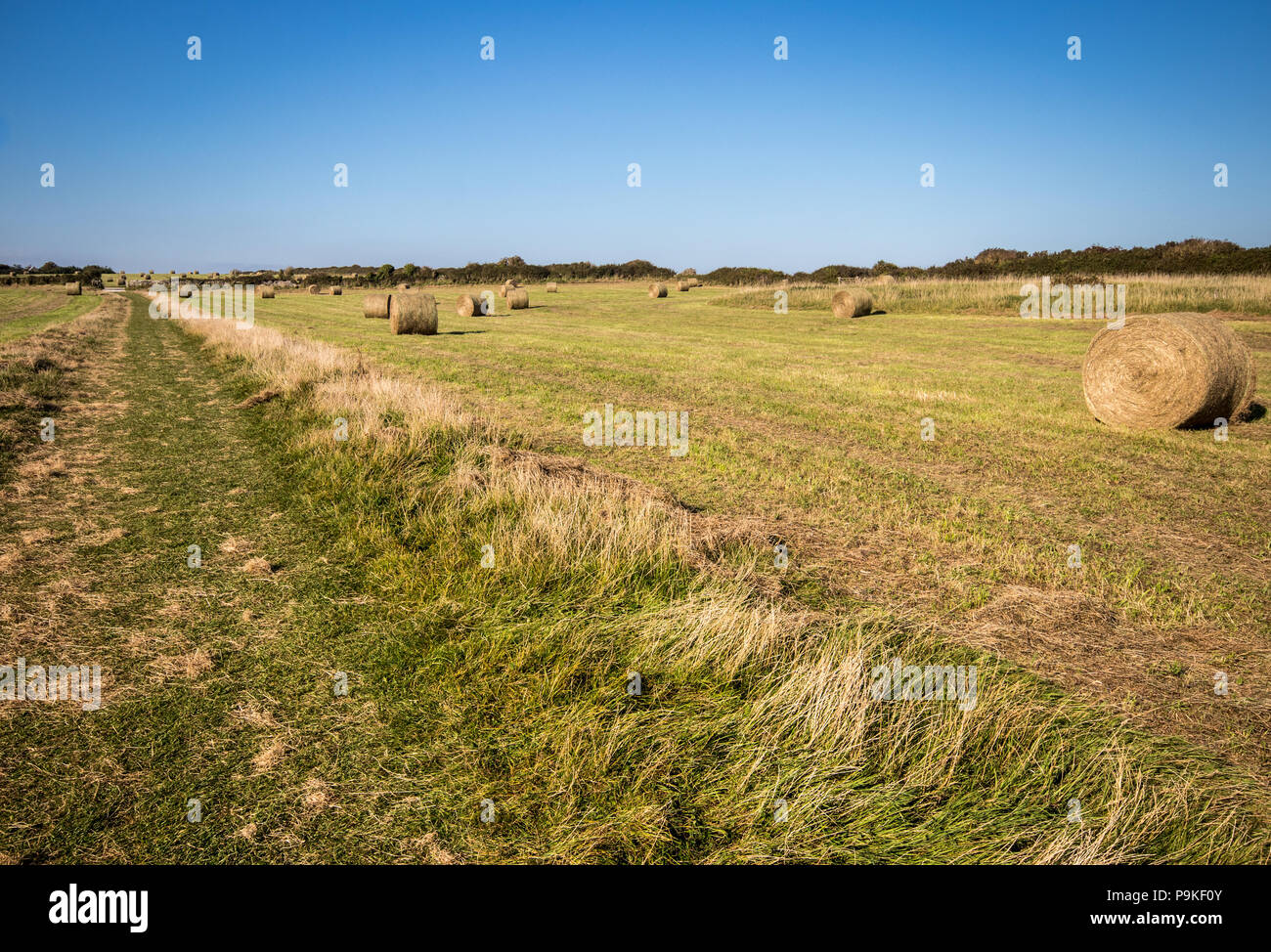 Farming fields near Dancing Ledge, Langston Matravers, Durlston Country ...