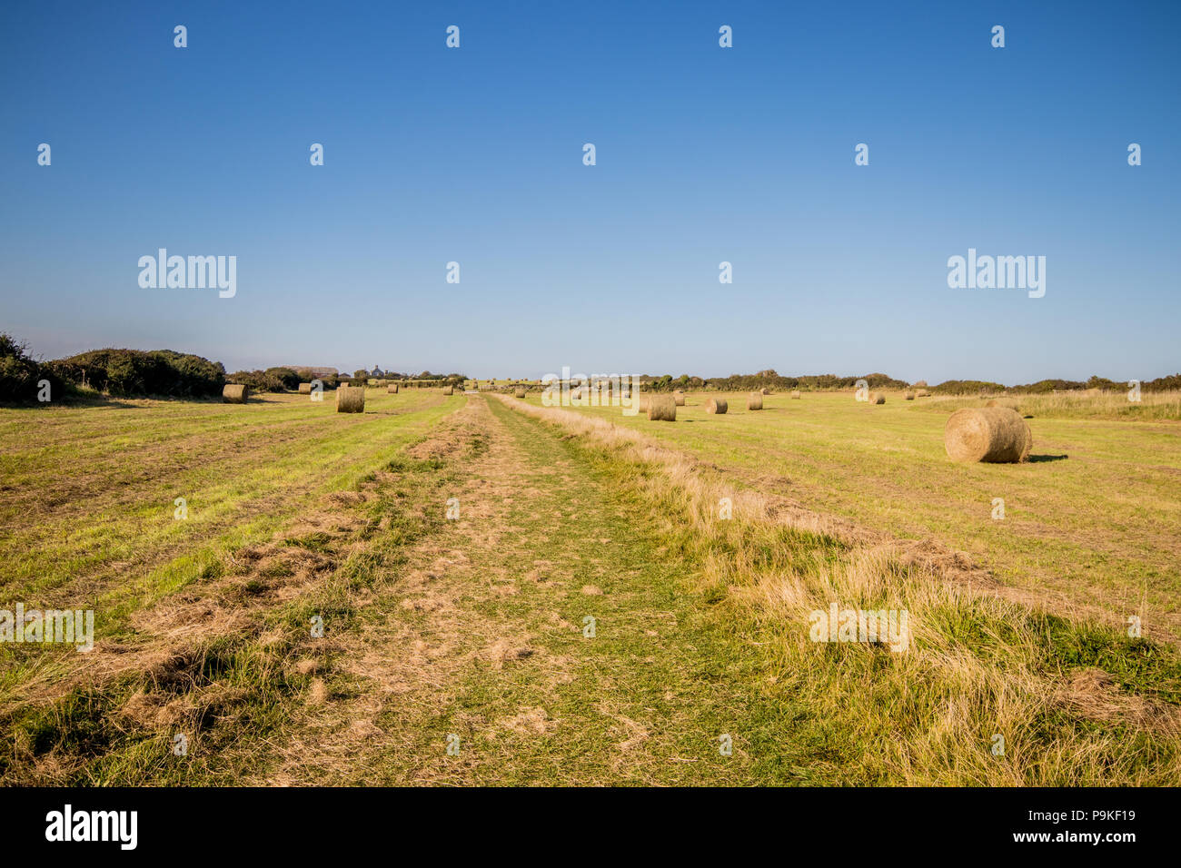 Farming fields near Dancing Ledge, Langston Matravers, Durlston Country ...