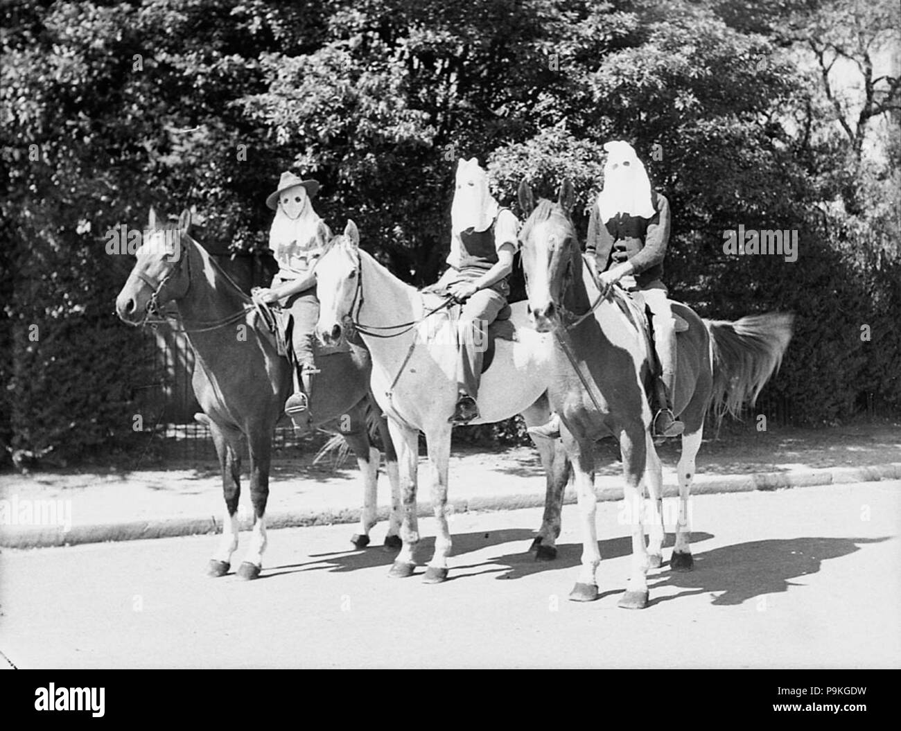 248 SLNSW 25042 Riders and horses taken for Capitol Theatre Stock Photo ...