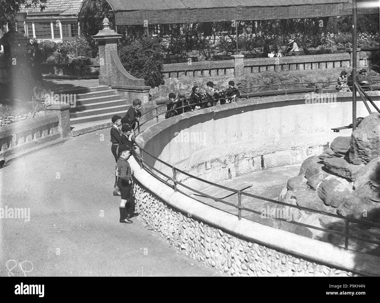 265 SLNSW 42921 Children looking in the lion pit at Taronga Park Zoo ...