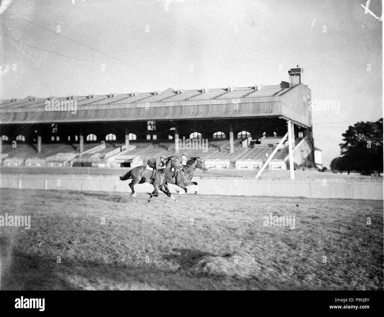 Early morning gallops hi-res stock photography and images - Alamy