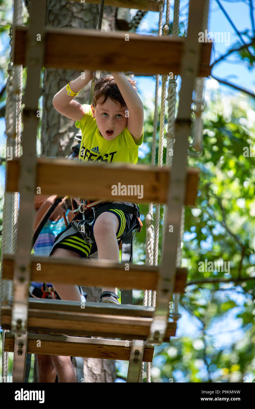Portrait of a handsome boy on a rope park among trees. Children summer ...