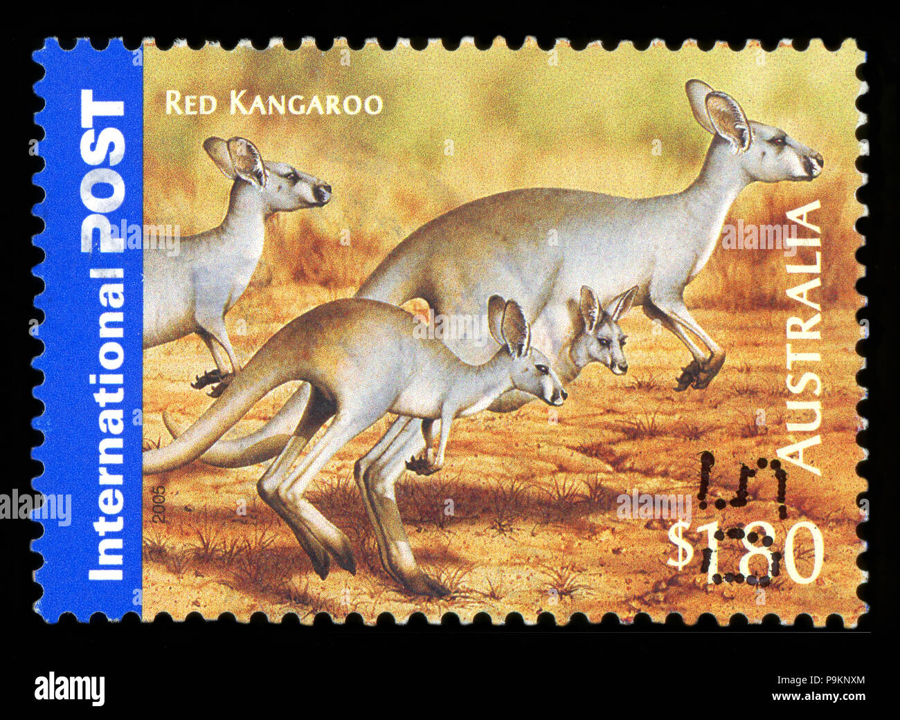 AUSTRALIA - CIRCA 2005: A stamp printed in Australia shows Three red ...