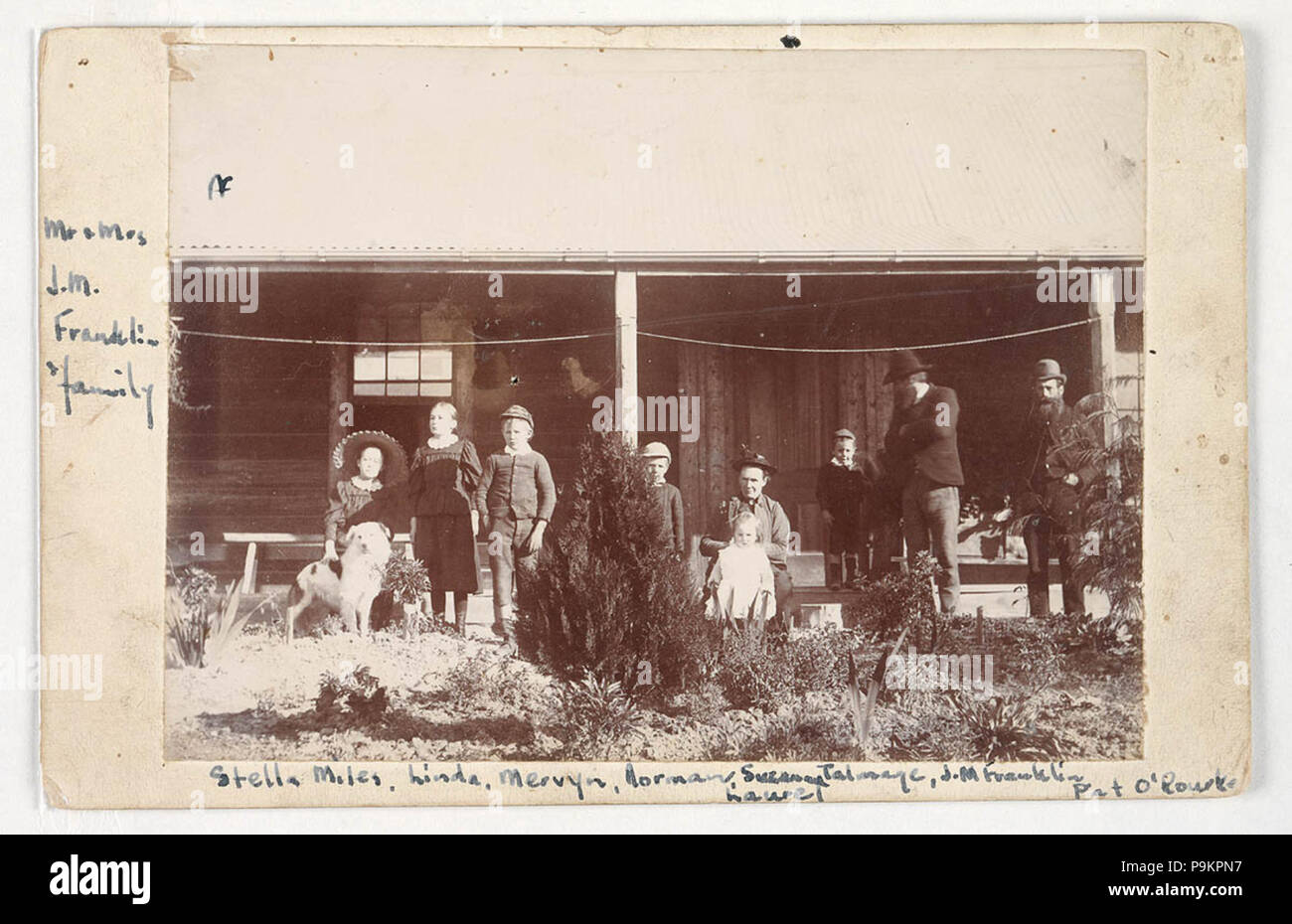 293 SLNSW 822089 3 Franklin family 1894 Stella Miles far left Stock ...