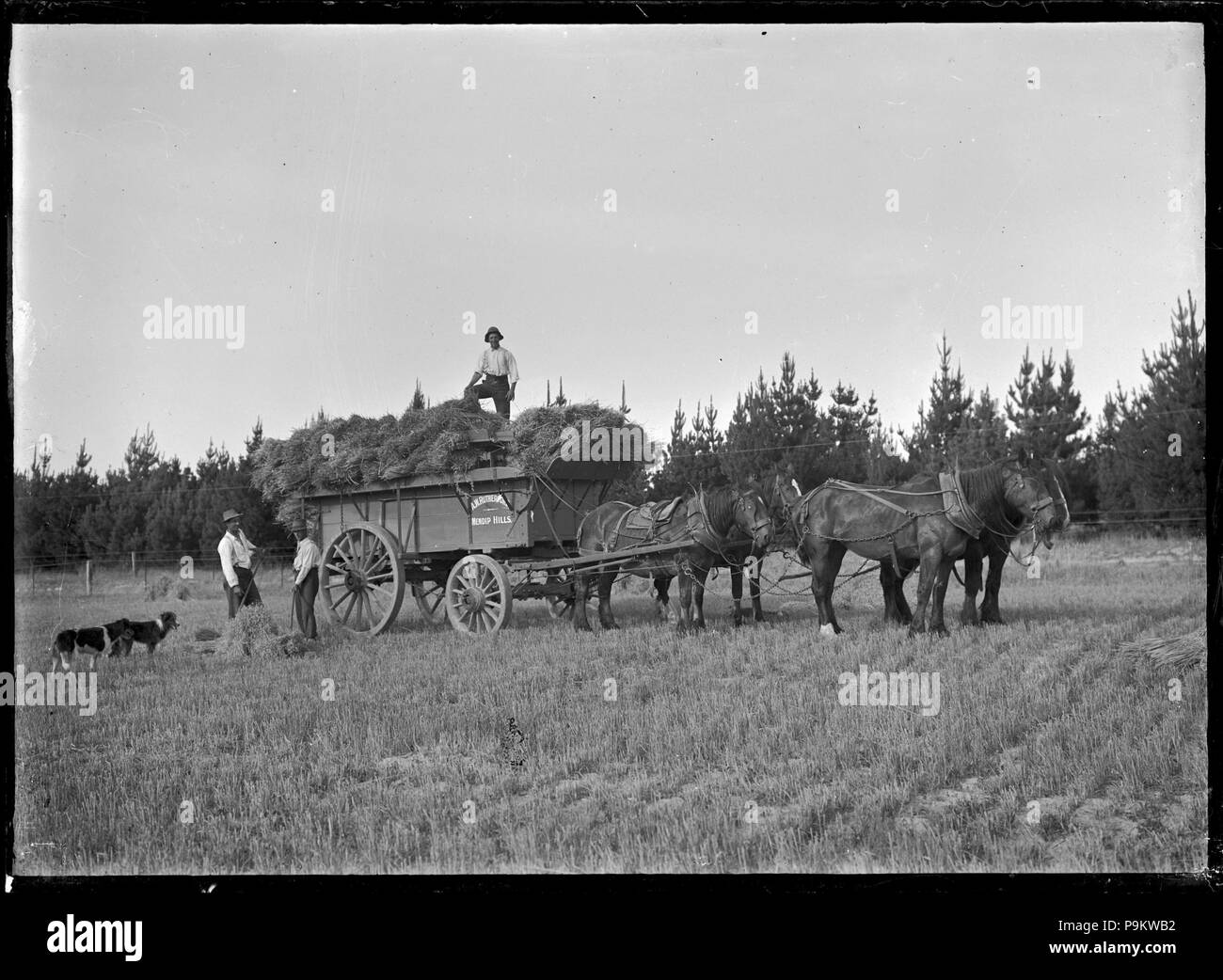 Load of hay hi-res stock photography and images - Alamy
