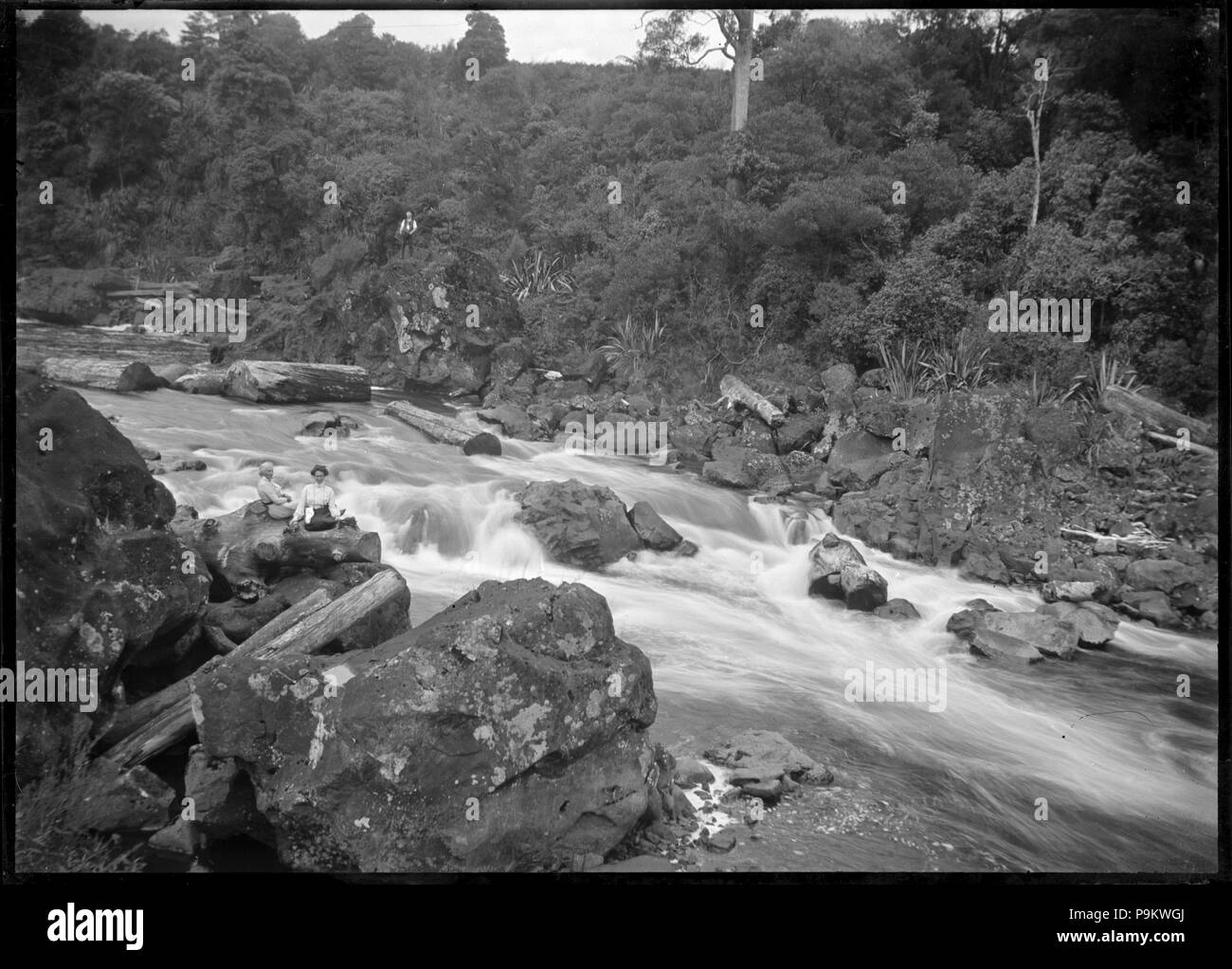 Wairua Falls High Resolution Stock Photography and Images - Alamy