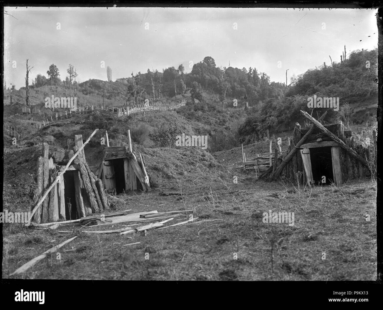Kumara Black and White Stock Photos & Images - Alamy