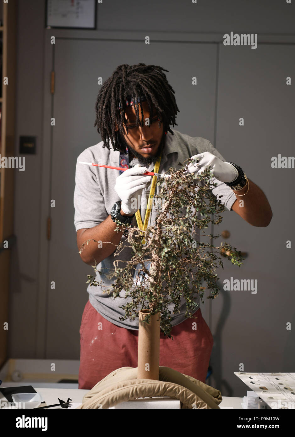 Lunder conservation center hi-res stock photography and images - Alamy