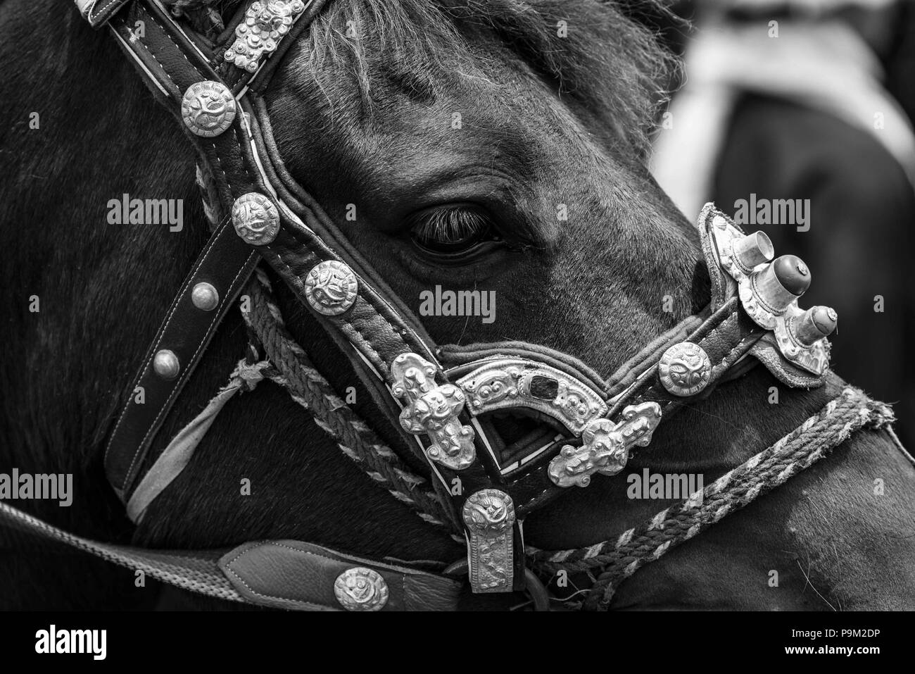 Aba, Aba, China. 19th July, 2018. Aba, CHINA-Local people celebrate ...