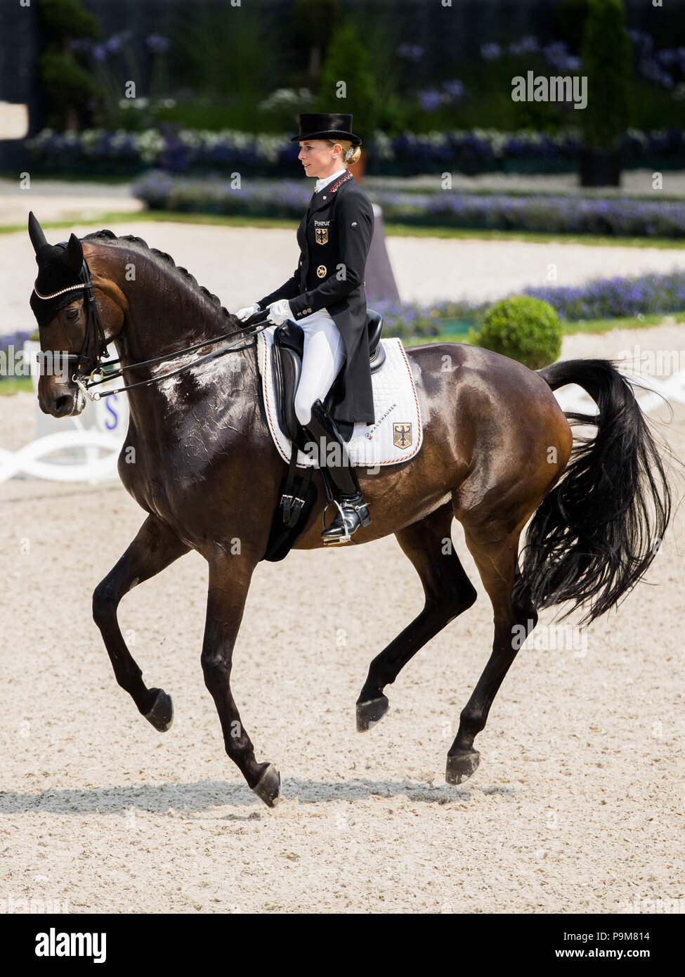 Germany, Aachen. 19th July, 2018. CHIO, equestrian, dressage. The ...